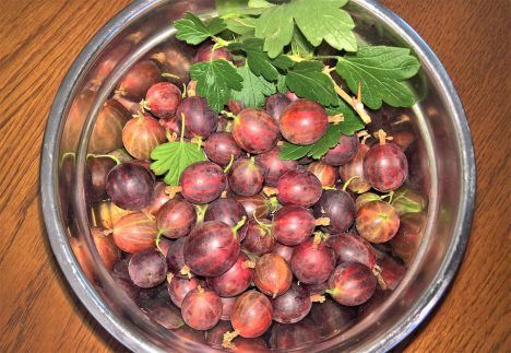 Unul dintre cei mai puternici antioxidanți din lume! Reglează tensiunea ...