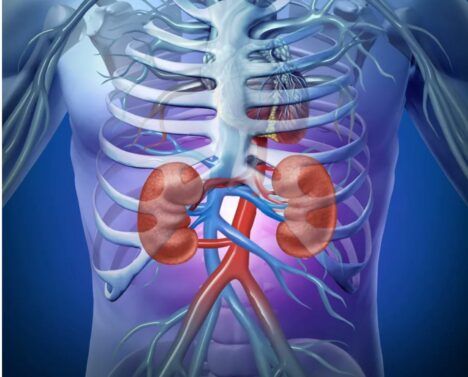 Semne că rinichii sunt în pericol și cele mai recomandate alimente ...