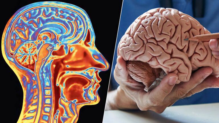 Un nutriționist de la Harvard împărtășește vitamina nr. 1 care îți ...