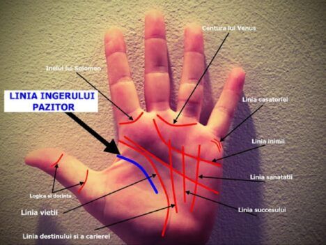 Ce puncte trebuie să masezi în palmă pentru a scăpa de afecțiuni și ...