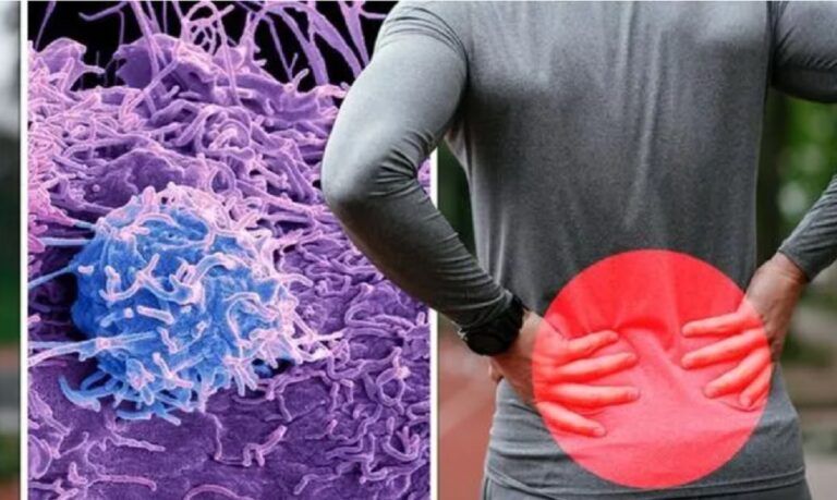 Afecțiunile tiroidei, cancerul sau artroza pot fi ”citite” în aspectul ...