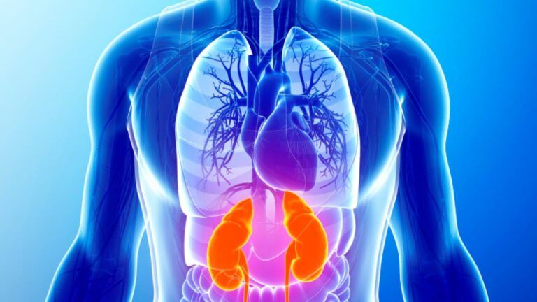 TOP 10 cele mai bune alimente pentru a-ți detoxifia rinichii și pentru ...