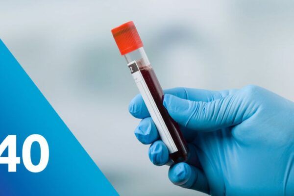 Alertă: Focar de boala limbii albastre. Virusul se răspândește rapid în ...