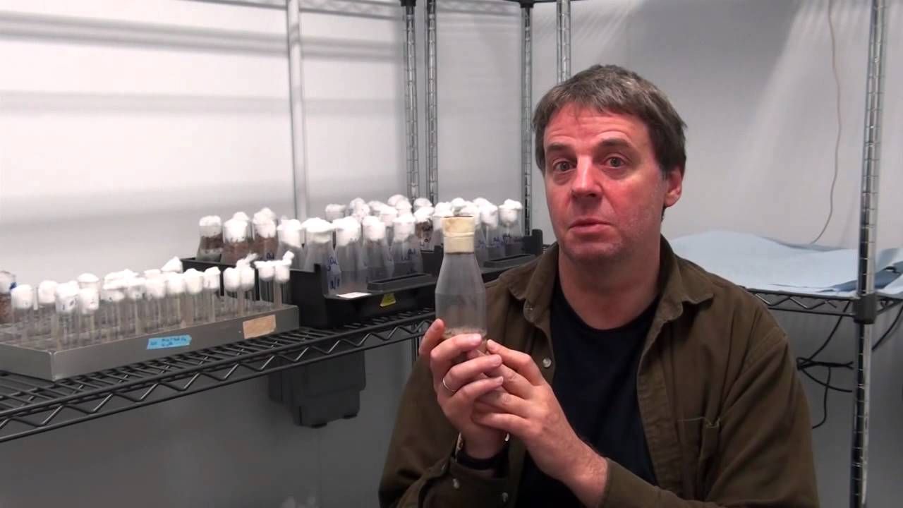 Suplimente anti-îmbătrânire cu efect 100%. Prelungesc viața