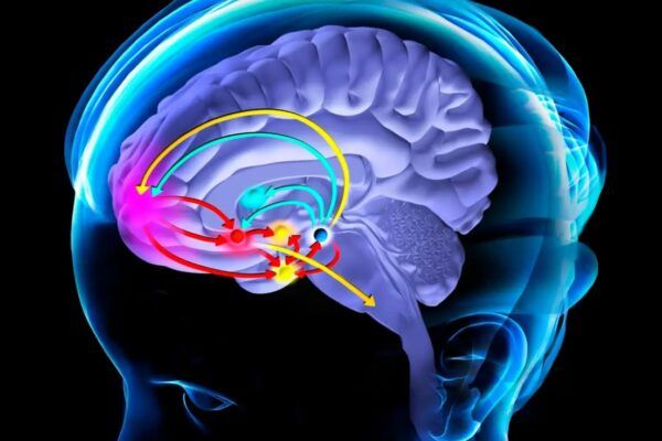 Lucru pe care NU îl știai despre CREIERUL tău: Aceștia sunt factorii ...