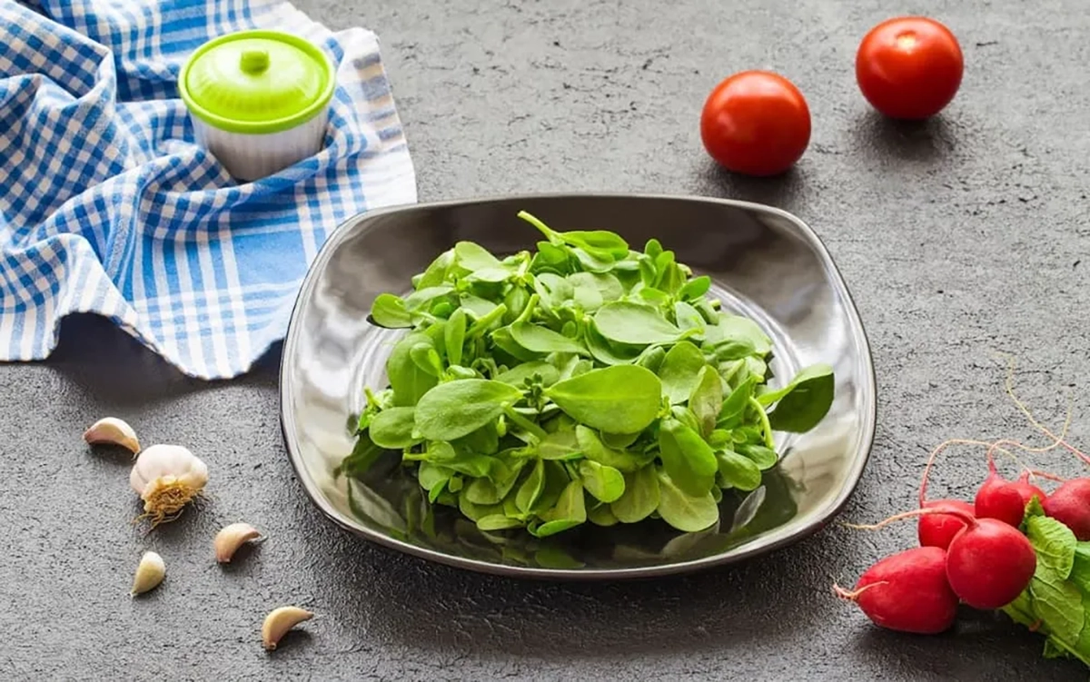 Buruiana-minune anti-cancer: 5 beneficii miraculoase