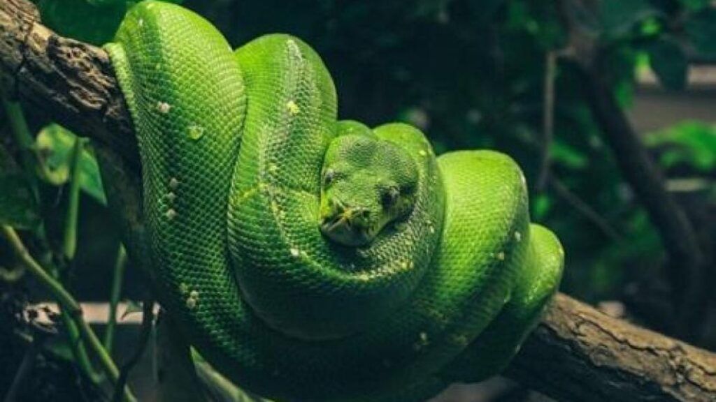 Succes și fericire în 2025. Asta îi așteaptă pe toți cei care poartă ...