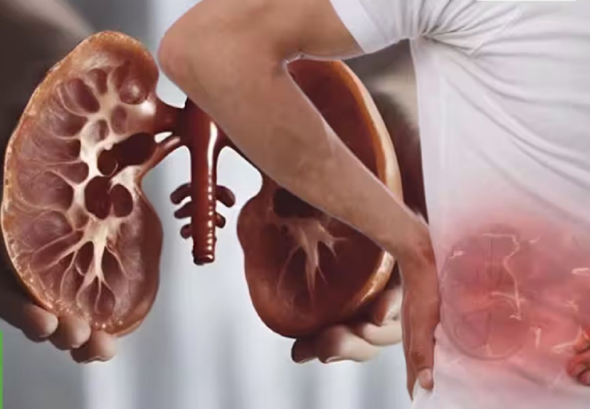 Cele mai bune 9 alimente care detoxifică rinichii