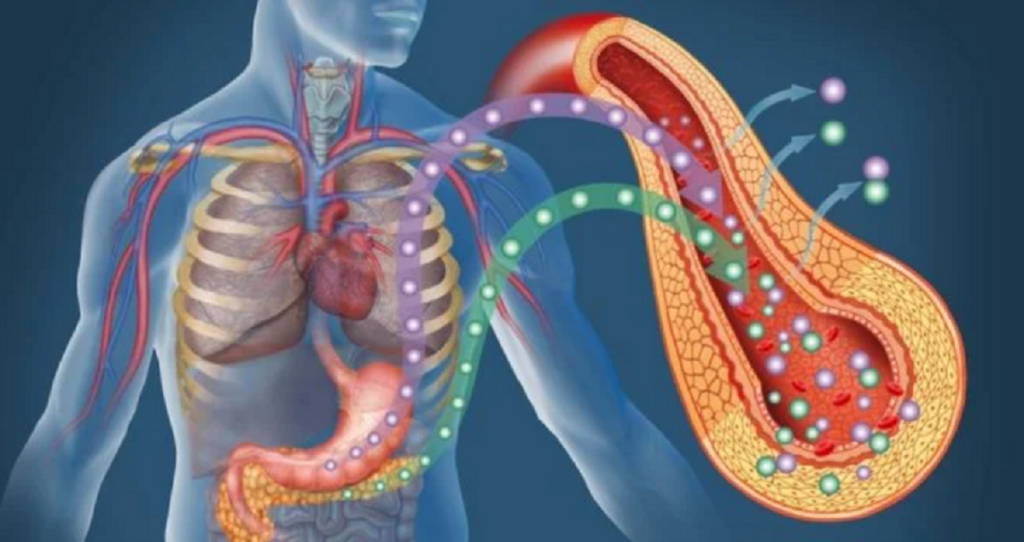 Semne de alarmă că ai pancreasul inflamat și cum te poți trata ...