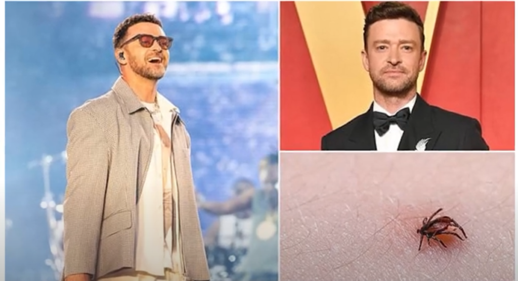 Borelioza/Boala Lyme – DoctorulZilei